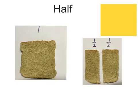 Fractions what is a half (mathdou)