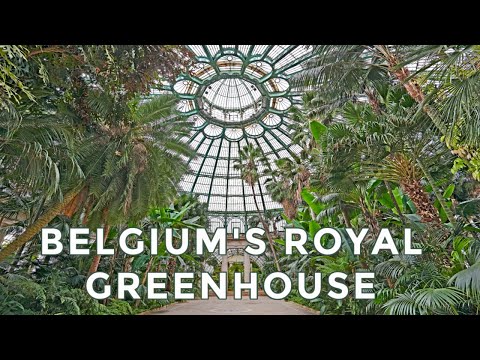 Inside Belgium's ROYAL Greenhouses of Laeken, Brussels