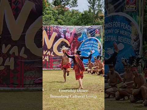 Courtship Dance presented by the Bumadang Cultural Group during the Baguio Gong Festival 2024 #gong