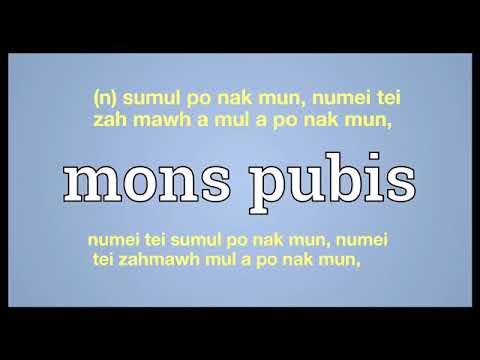 mons pubis meaning in English Ngawn