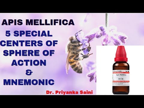 APIS MELLIFICA || 5 SPECIAL CENTERS OF ACTION / SPHERE OF ACTION || MNEMONIC || MIND SYMPTOMS