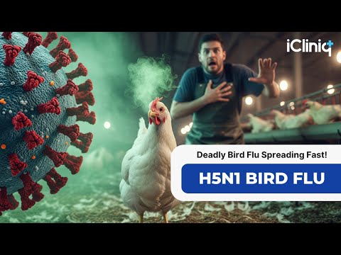 H5N1 Bird Flu: Should You Be Concerned? Symptoms, Spread & Safety Tips Explained.