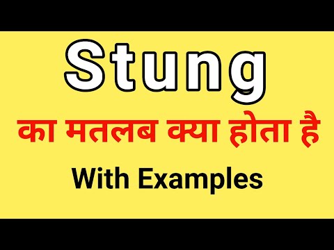 Stung Meaning in Hindi | Stung ka Matlab kya hota hai | Word Meaning English to Hindi