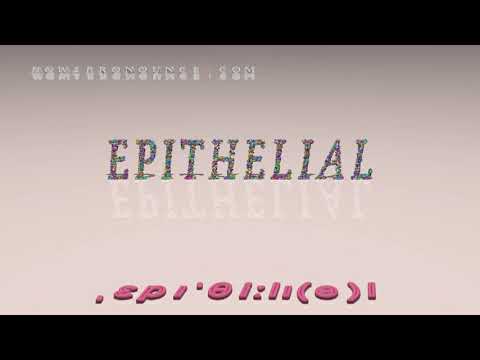 epithelial - pronunciation in British English (three voices / accents)