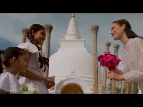 AIA International Conference 2025 Sri Lanka - Trailer 1