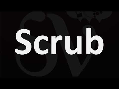How to Pronounce Scrub?