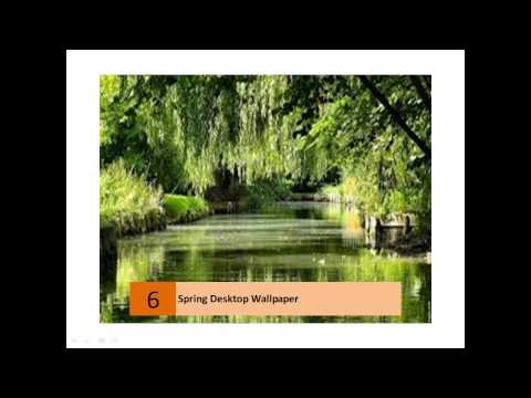 High Definition Spring Desktop Wallpapers