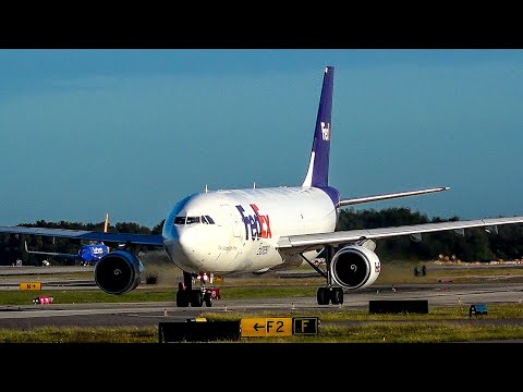 Back to Back Go Around Stunning Up Close 1R TPA