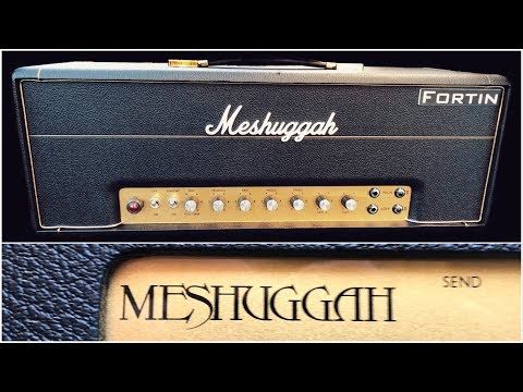 Rare Fortin Amplification Meshuggah Signature Amp Head Plexi | Reverb