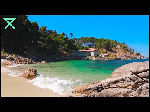 Ocean Wave Sounds - NO MUSIC - Fall Asleep | Relaxing Zen Tropical Beach | Island Ambience