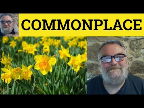 ๐ต Commonplace Meaning - Commonplace Examples - Commonplace Definition - Commonplace