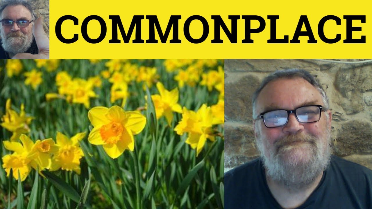 🔵 Commonplace Meaning - Commonplace Examples - Commonplace Definition - Commonplace