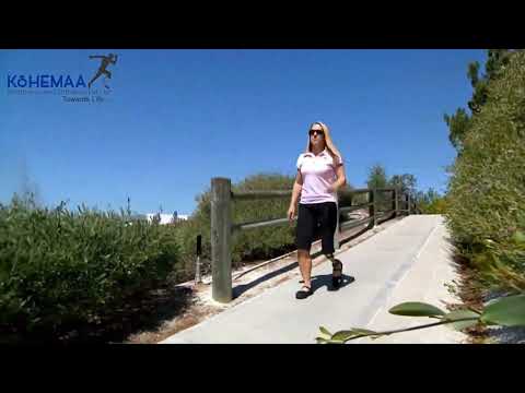 Artificial Leg Limb - Artificial Limbs Latest Price, Manufacturers ...