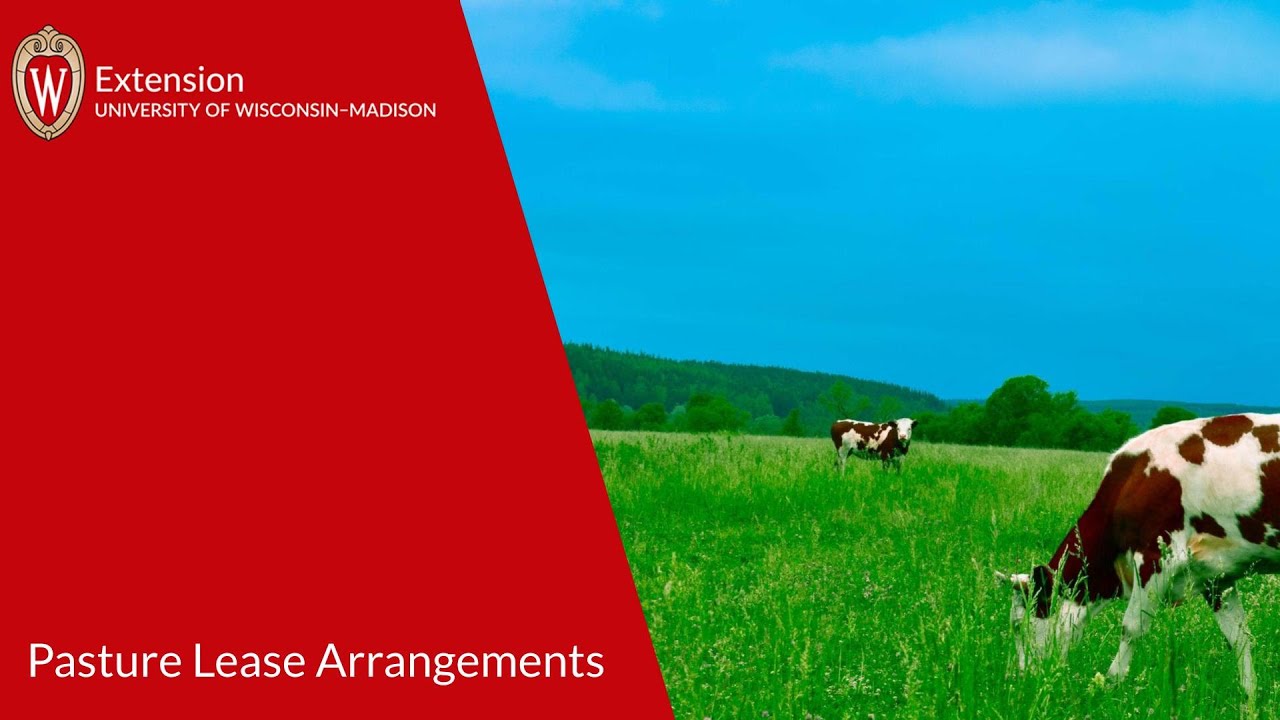 Pasture Lease Arrangements