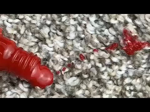 How To Get Nail Polish Out Of Carpet #shorts