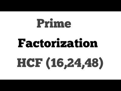 HCF Of 16,24, 48|GCF Of 16,24,48|