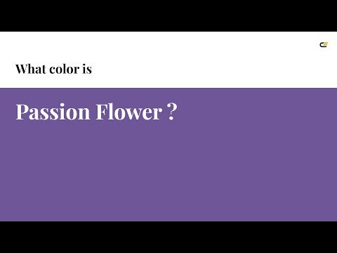 Passion Flower color #6f5698 hex color - Violet color - Warm color 6f5698