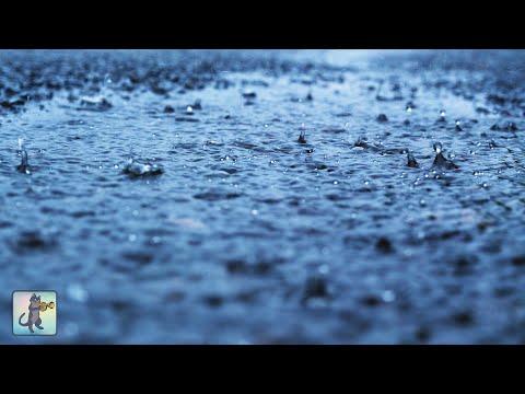 12 Hours of Rain 🌧️ Heavy Rain Pouring Down! ~ Rain Sounds for Sleeping (No Thunder)