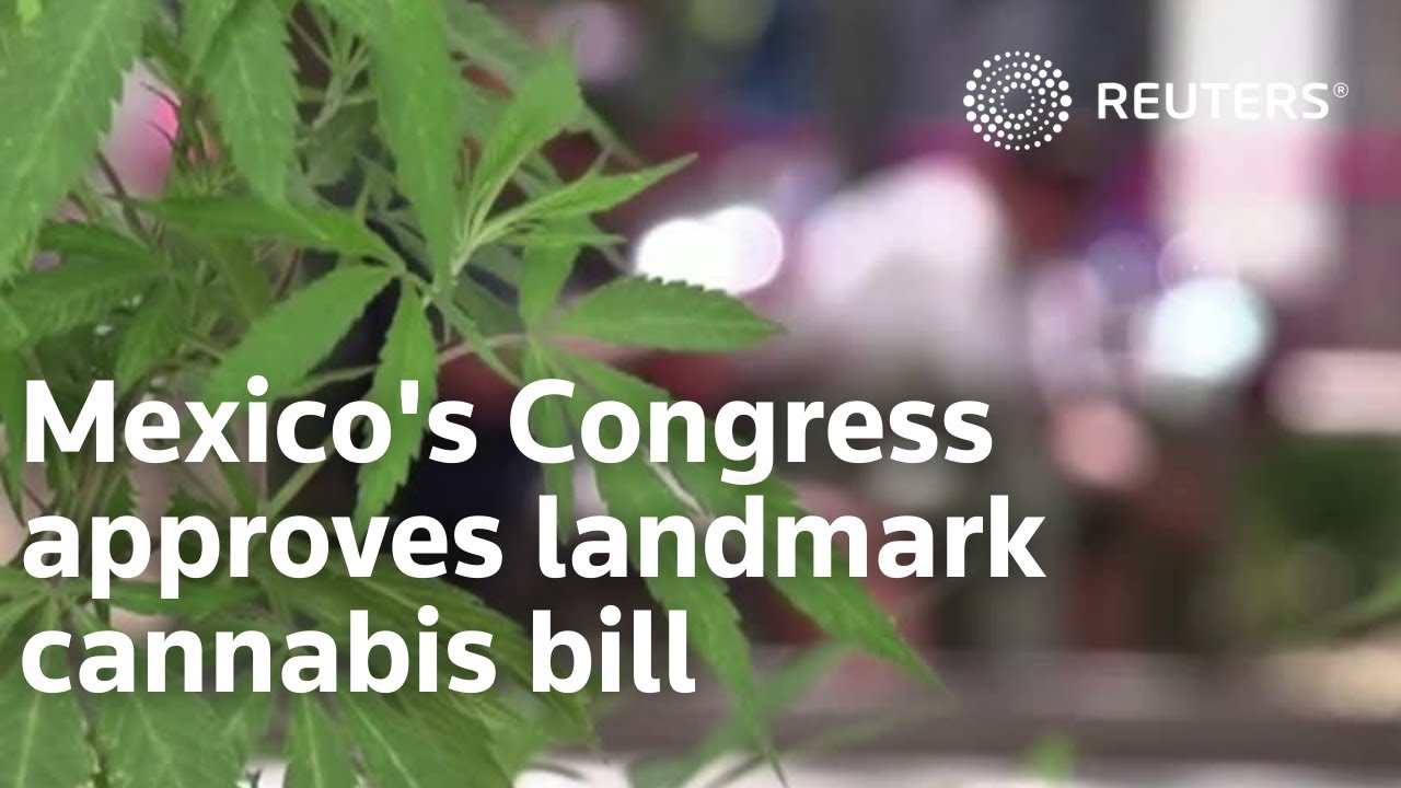 Mexico's Congress approves landmark cannabis bill