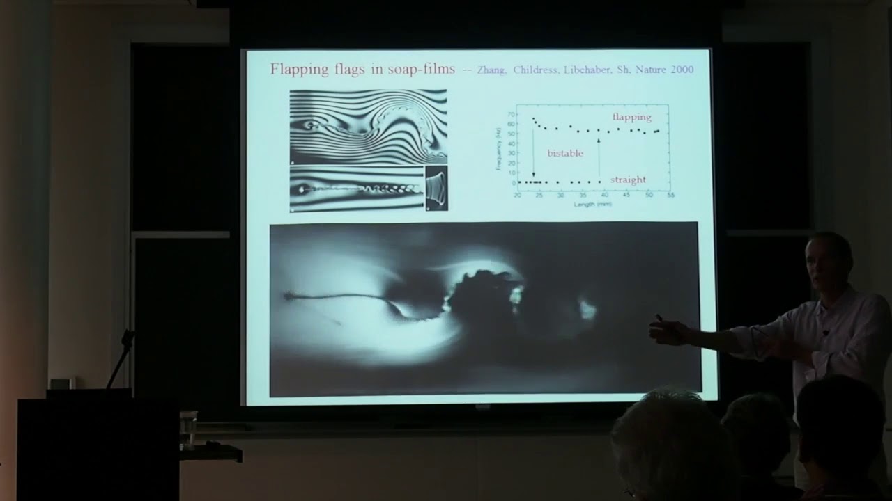 Mike Shelley - Fluid-structure Interactions From the Large to the Very Small (Oct 16, 2013)