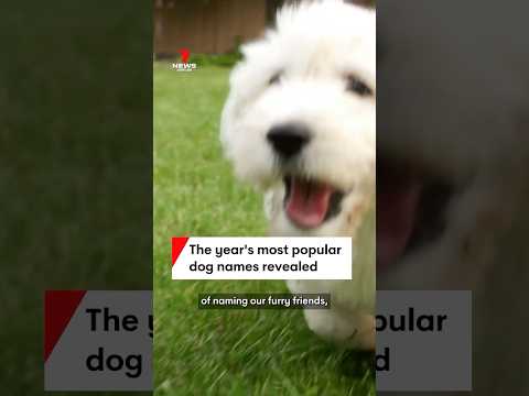 Favourite dog and cat names revealed for 2024