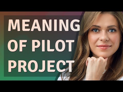 Pilot project | meaning of Pilot project