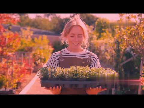 Herb Day 2025 Discover the Healing Power of Nature’s Best Herbs