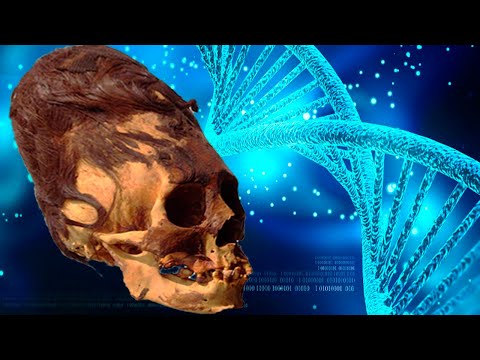 Strange big skulls in Paracas Perú | DNA to Paracas Skulls | history ...
