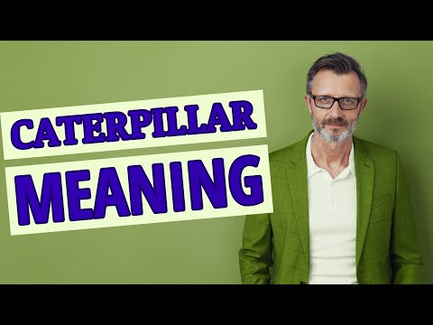 Caterpillar | Definition of caterpillar π π π π π