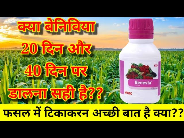 Agriculture Insecticide - Bayer BICOTA INSECTICIDES Trader - Wholesaler ...