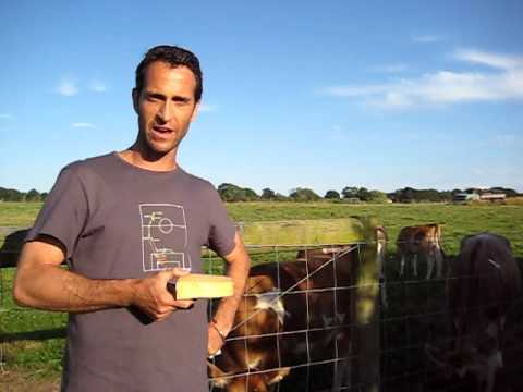 Rob Endelman - Cheese From Grass fed Cows