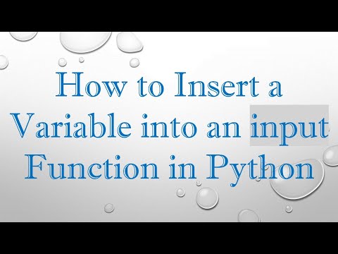 How to Insert a Variable into an input Function in Python