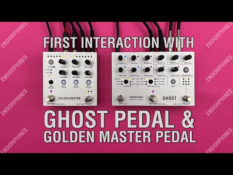 Endorphin.es Ghost Multi-Effects Pedal | Reverb