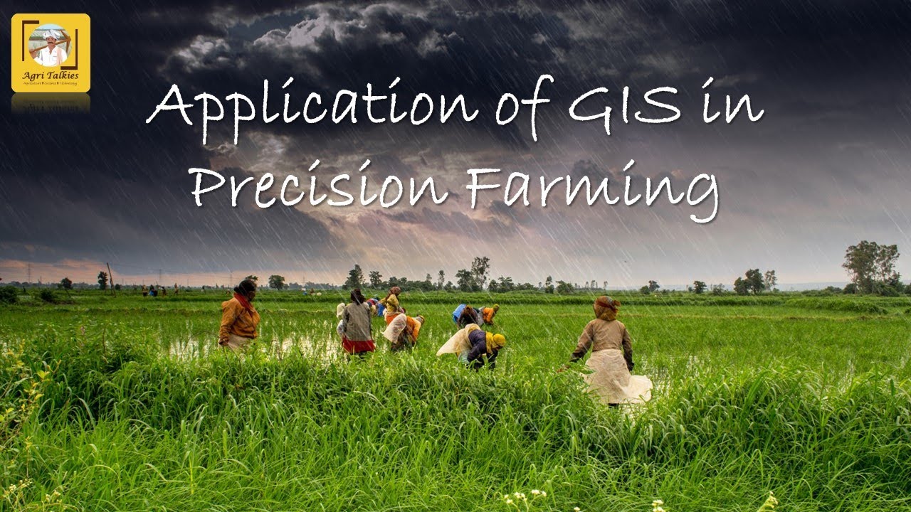 Application of GIS in Precision Farming || #SmartFarming || #GIS || Agri Talkies || 2021