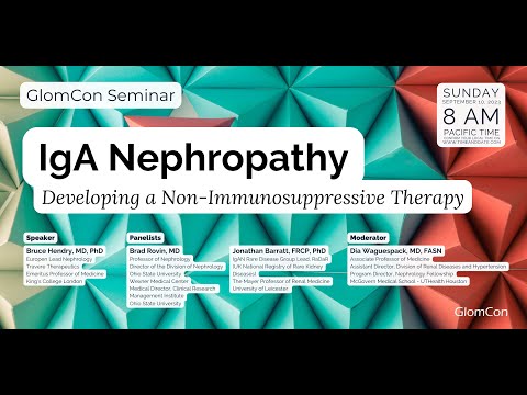 IgA Nephropathy: Developing a Non-Immunosuppressive Therapy