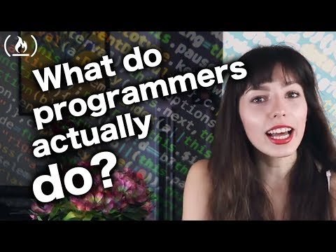 Learn What do computer programmers actually do - Mind Luster