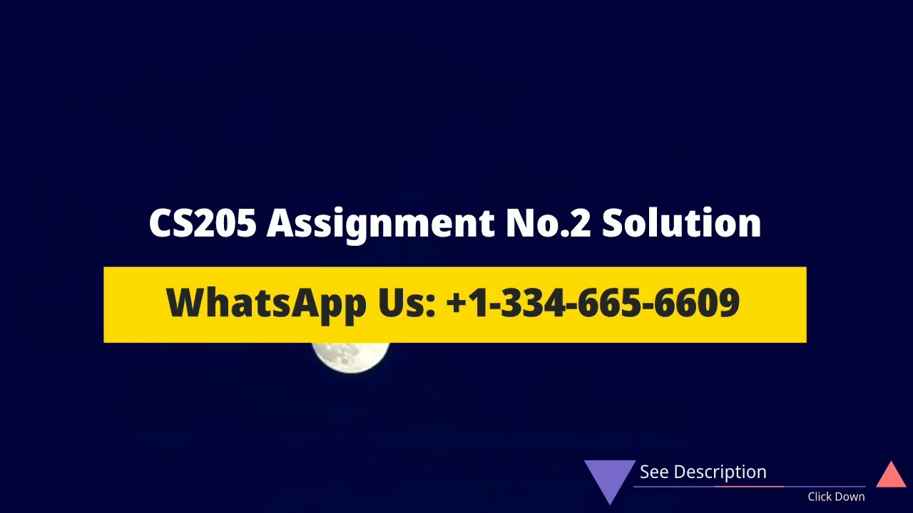 CS205 Assignment No. 2 Solution Spring 2023