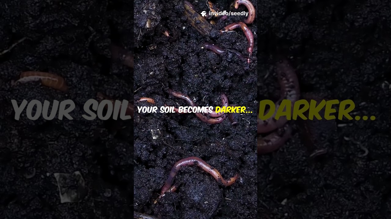 Before You Plant Apply This Secret Ingredient – Your Seedlings Will Sprout And Explode With Growth 🌱