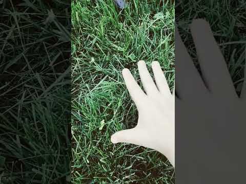 Does this mean I have to touch grass? ????