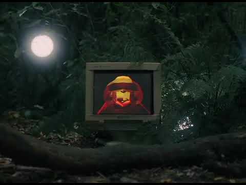 @Mycelialoracle aka S.A.N music video