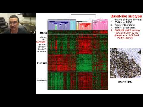 Charles Perou - Keynote Breast Cancer Genomics and Genetics