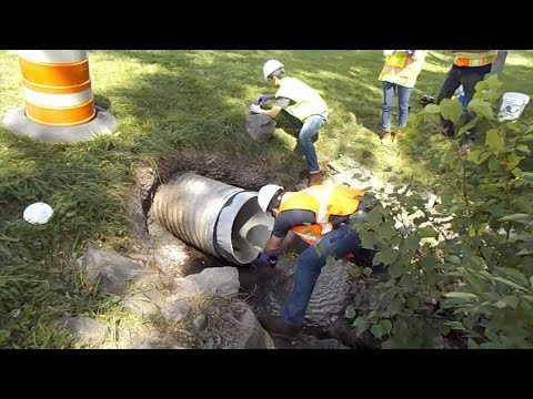 CIPP Environmental Study