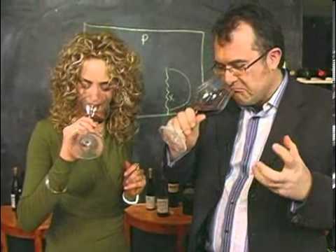 Learn About Châteauneuf-du-Pape - Wine 101 with the Wine School