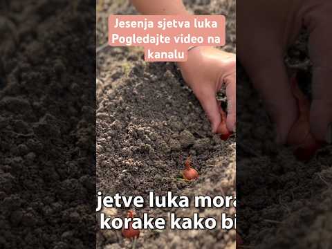 Obavezno prije sjetve luka, ovo odradite #garden #shorts