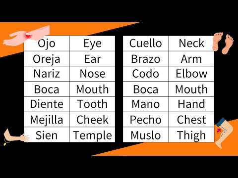 Spanish vocabulary | Face and body parts in Spanish