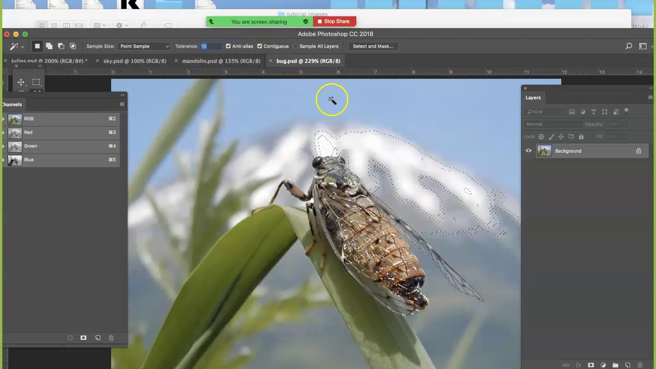 Image Compositing: Part 2