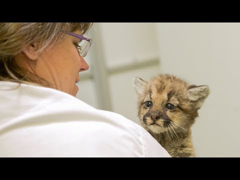 Happy Vet Tech Appreciation Week