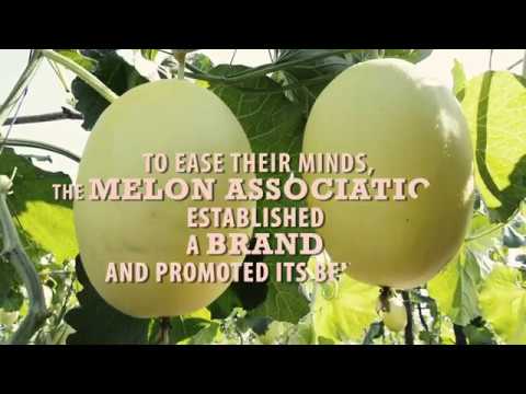 Branding is a Key Business Strategy for Farmers