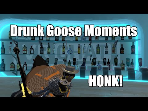 Steam Community :: Video :: Drunk Goose Moments: VR Chat