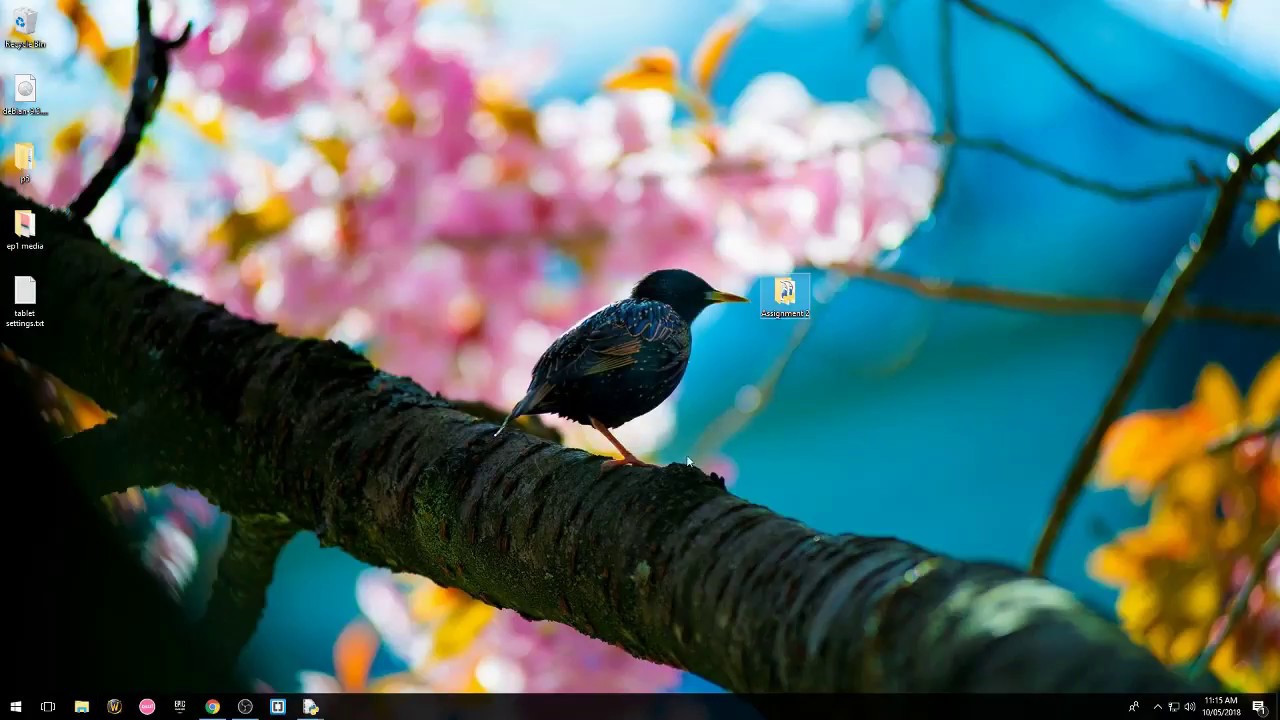 CSSE1001: Assignment 2 Solution - entities.py (sem1 2018)